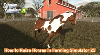 How to Raise Horses in Farming Simulator 25? - FS25